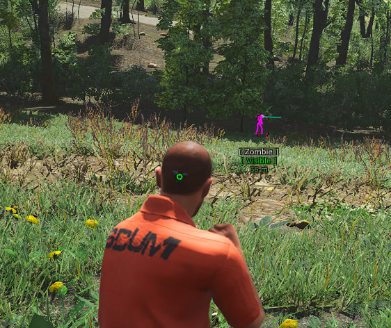 VISOR - Scum | Cheatrise